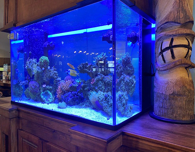 The restaurant's saltwater aquarium &ndash; where fish can watch diners eat their relatives while contemplating the circle of life.