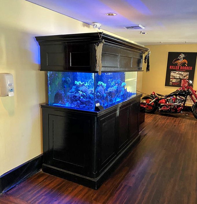 An aquarium glows electric blue against dark wood, offering dinner entertainment as fish perform their synchronized swimming routine for mesmerized diners.
