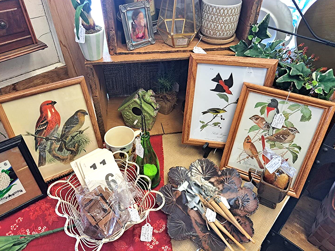 Vintage bird prints and nature-inspired decor bring a touch of the outdoors in. Audubon would tip his hat to this charming collection.