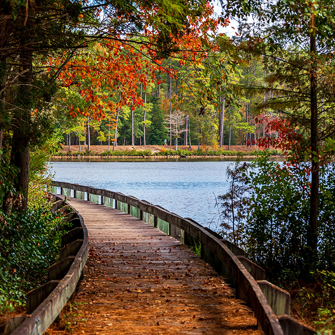 Fall in South Carolina&mdash;where Mother Nature shows off her painting skills. The original Instagram filter we can't get enough of.