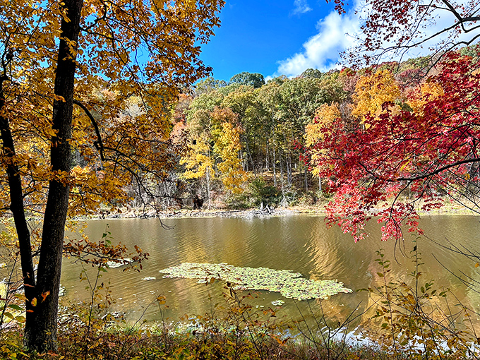 Autumn transforms Lake Hope into nature's own fireworks display, minus the noise and crowds.