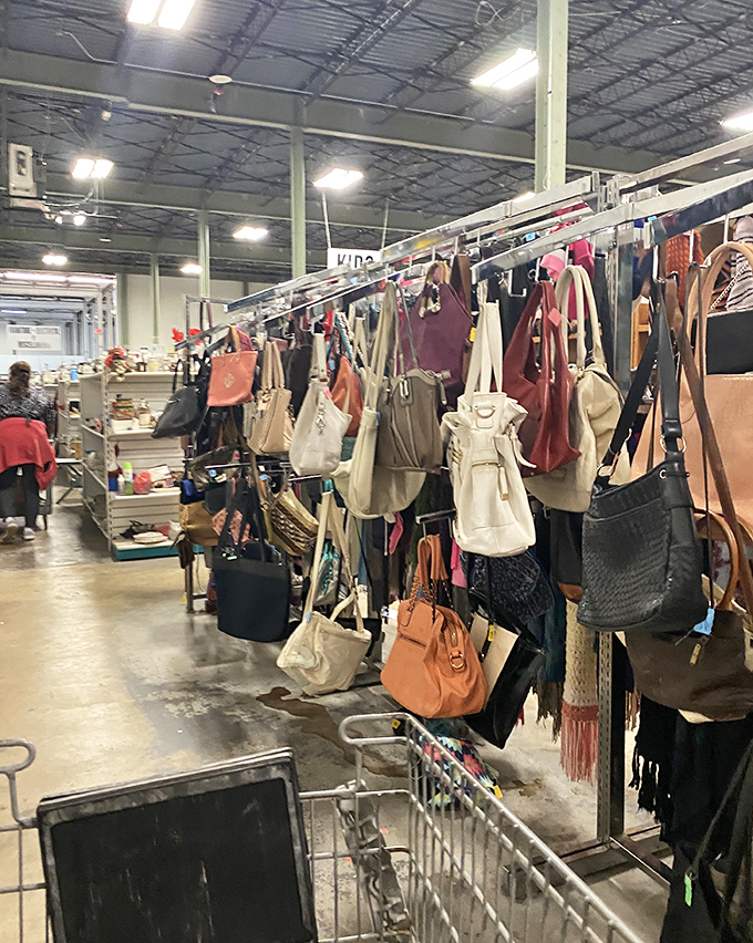 Handbags hang like leather fruit, ready to carry someone's dreams, groceries, and that mysterious collection of receipts.