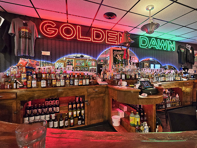 A bar stocked like a liquid museum of good times. The neon glow makes everyone look like they're starring in their own Youngstown-based sitcom.
