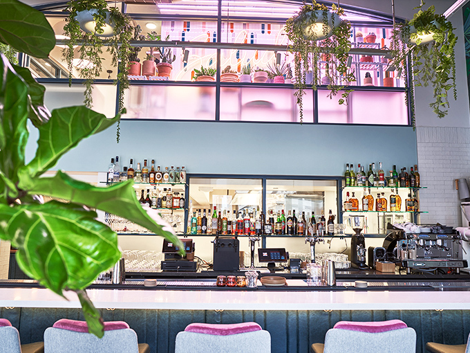 Speck's bar area blooms with greenery and bottles, a botanical garden where the plants are pretty but the spirits are the real attraction.