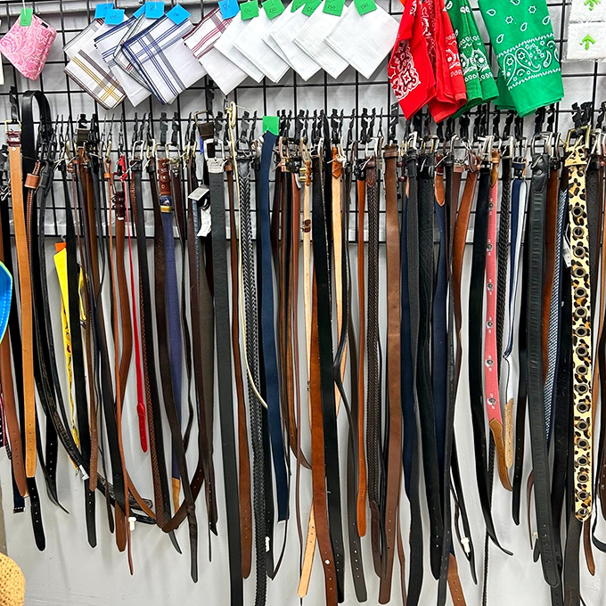 The belt section dangles possibilities like a leather waterfall. That leopard print option is just waiting for someone brave enough to make a statement.