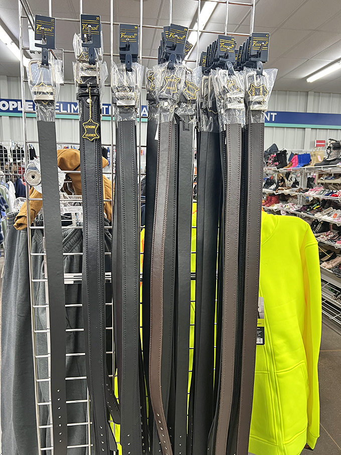 The belt section hangs like leather spaghetti, waiting for someone to rescue these waist-cinchers from their suspended animation between owners.