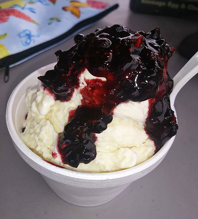 Ice cream and berries performing a sweet duet that would make Simon Cowell give a standing ovation.