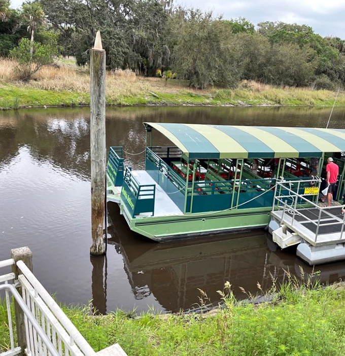 The park's iconic boat tours prove that the best way to see Florida's wild side doesn't involve an admission ticket or a cartoon character.