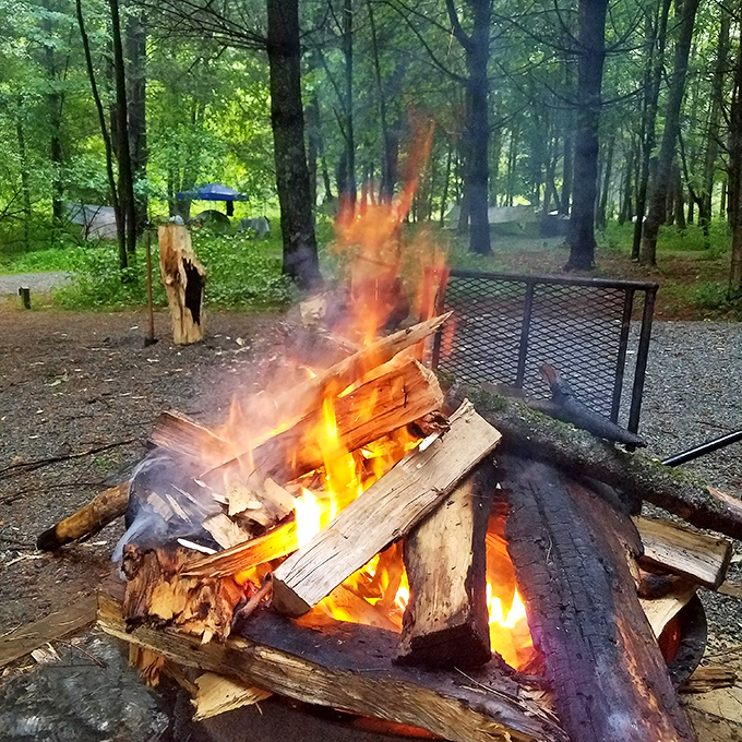 Primal television: a campfire's dancing flames offer better entertainment than anything streaming on your devices back home.