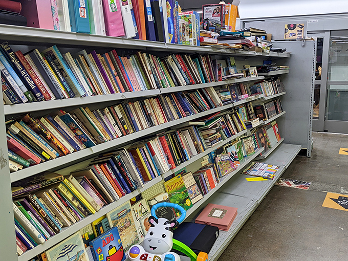 The book section: where literary treasures hide between dog-eared paperbacks. Bibliophiles can spend hours hunting while pretending they don't already own too many books.