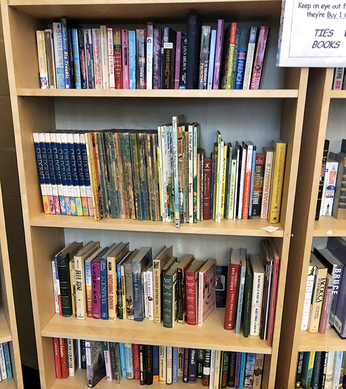 The literary corner: where dog-eared paperbacks and pristine hardcovers create the perfect Florida reading list for beach days and rainy afternoons alike.