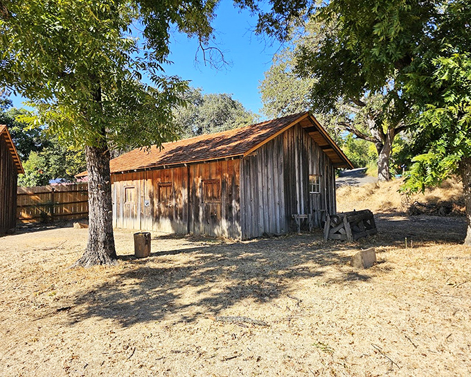 This weathered wooden cabin has stories in every plank, a humble time capsule from California's formative years.
