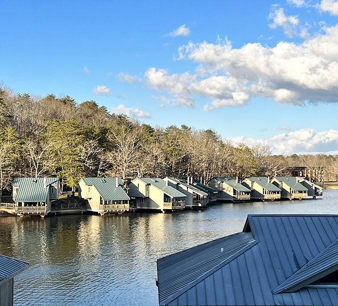 Lakeside cabins hover above the water like modern-day houseboats, offering that perfect balance of wilderness and "I-still-need-my-coffee" comfort.