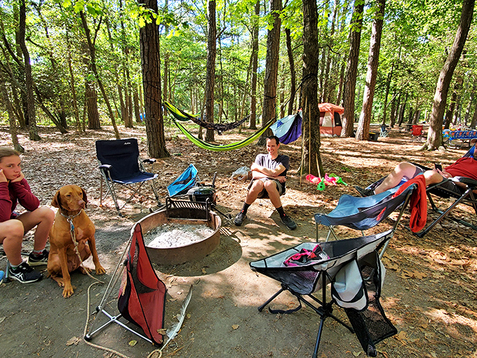 Campsite nirvana where s'mores are currency and ghost stories are the evening entertainment. No Wi-Fi password required.