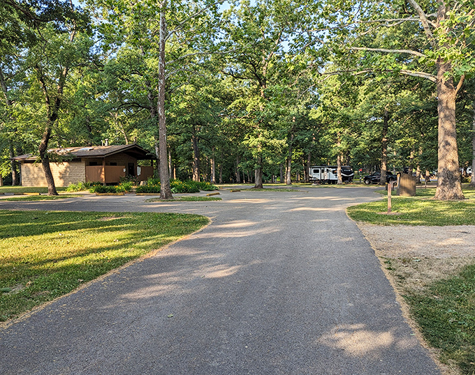 The campground road winds through towering trees, promising peaceful nights where the only alarm clock is a chorus of morning birds.