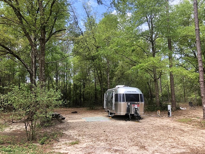 Airstream dreams among the pines &ndash; camping that combines vintage style with wilderness, like glamping before it was cool.