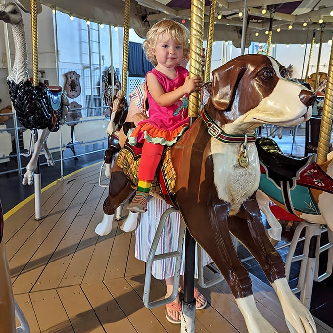 Even the most sophisticated among us revert to childlike wonder on a carousel dog. This little rider gets it—some joys are simply timeless.