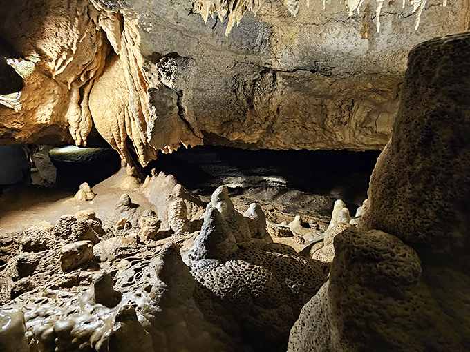 These formations resemble a petrified forest from an alien world. Touch nothing but take everything in with your eyes.