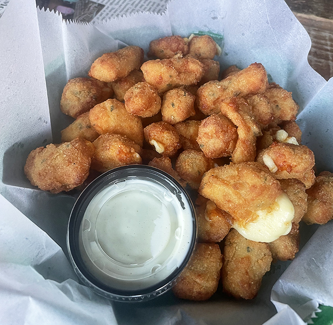 Cheese curds that squeak with Wisconsin envy. These golden nuggets of joy are what happens when cheese decides to dress up for a night out.