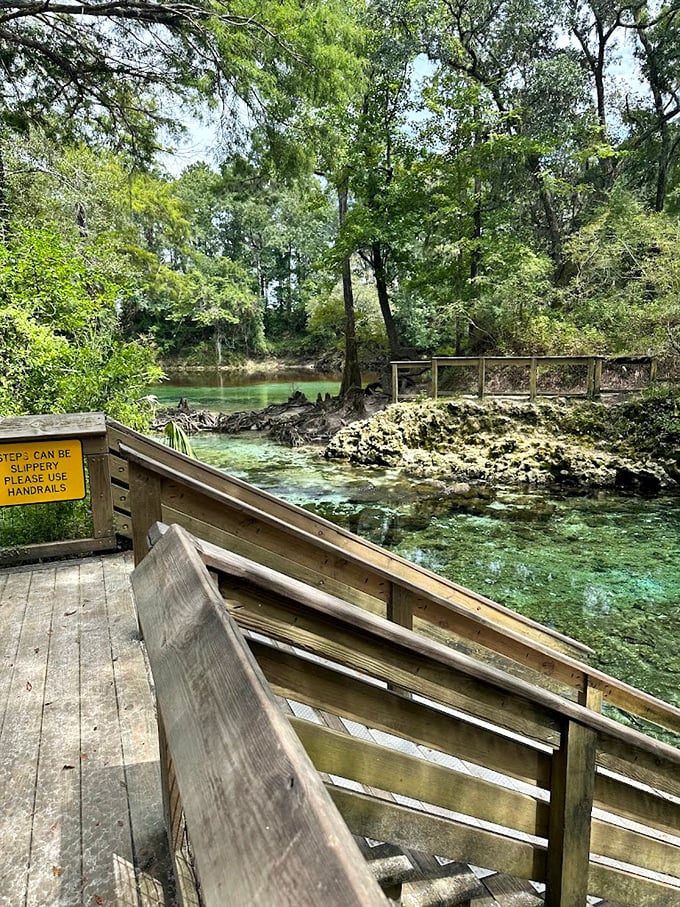 Sunlight filters through the canopy, transforming the spring into a kaleidoscope of blues and greens that no filter could improve.