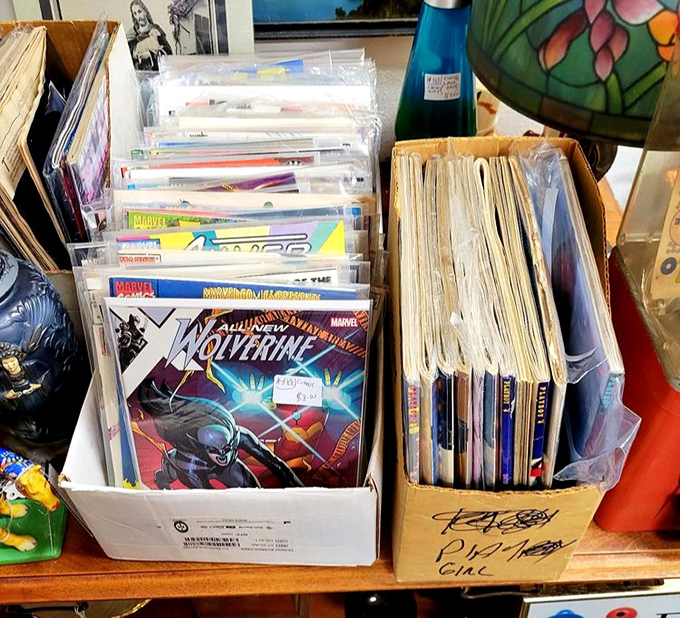Comic book nostalgia in cardboard boxes&mdash;where else can you find Wolverine still fighting the good fight decades later?