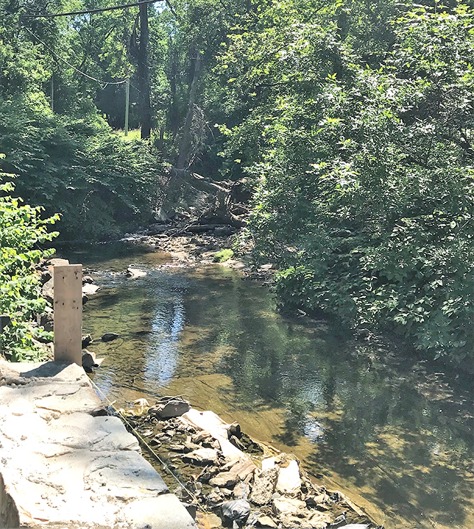 The creek offers a cooling respite on summer days &ndash; sunlight dappling through leaves onto crystal-clear waters.