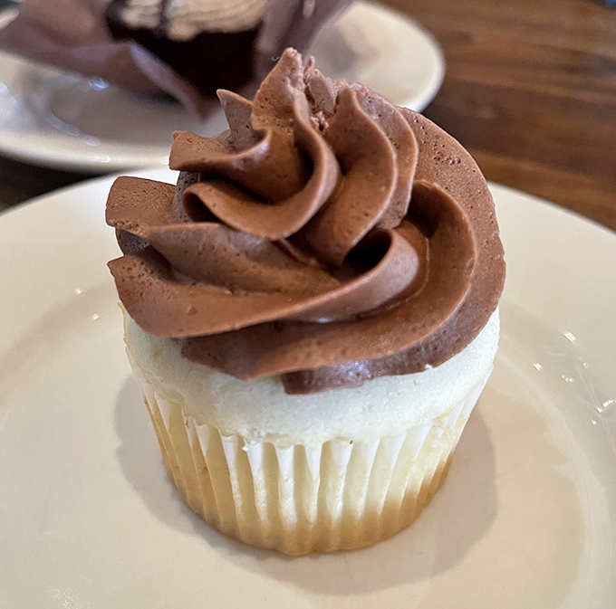 A cupcake that doesn't need a birthday as an excuse. That chocolate frosting swirl is practically performing a victory dance on its vanilla base.