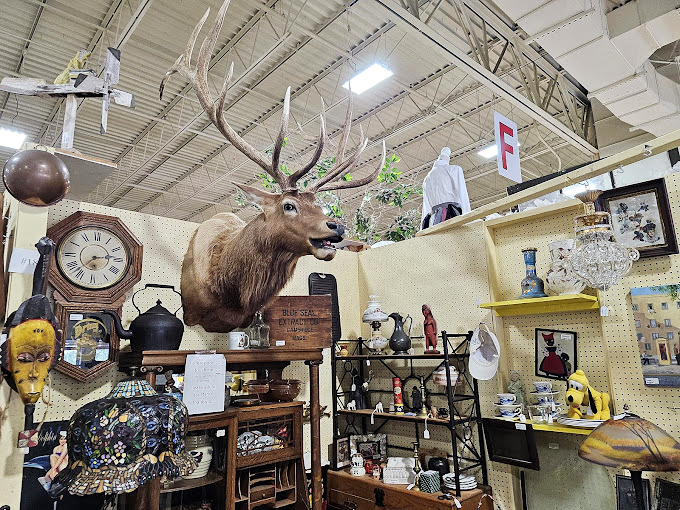 A majestic elk head presides over an eclectic kingdom of treasures. Grandfather clocks, crystal decanters, and African masks create a cabinet of curiosities worthy of a Victorian explorer.
