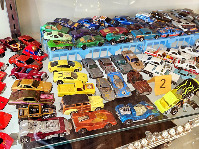 Miniature car collections that would make any collector's heart race &ndash; each tiny vehicle carrying big memories and even bigger potential.
