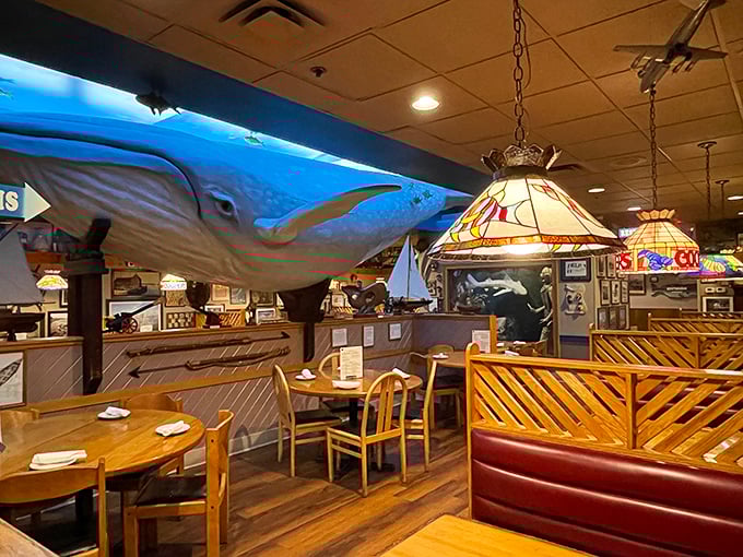 Dining beneath the watchful eye of the deep. Cooper's life-sized sea creatures turn dinner into an underwater expedition.