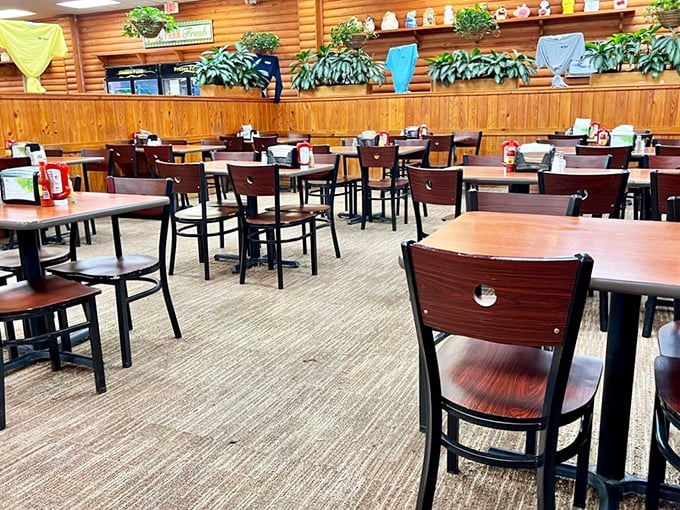 The dining area's wooden charm creates that perfect "rustic but clean" atmosphere where calories consumed while sitting in wooden chairs somehow don't count.