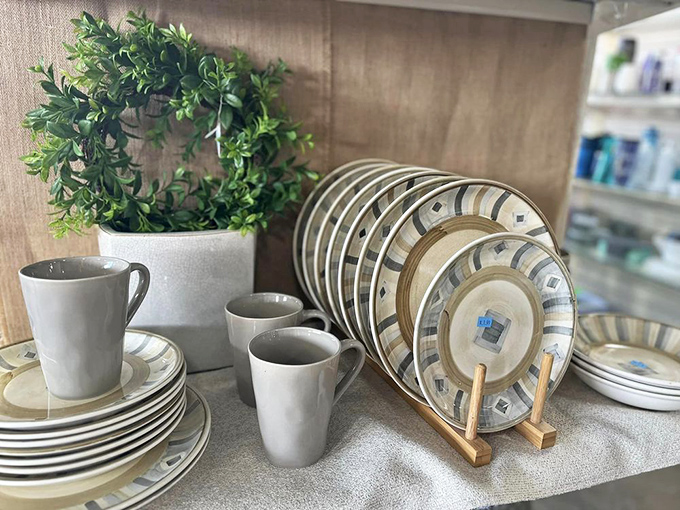 Modern dinnerware sets arranged with showroom precision&mdash;perfect for those "my kitchen needs a refresh but my wallet needs a break" moments.