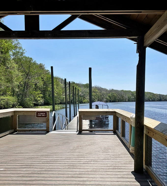 Gateway to adventure, this dock connects visitors to the Suwannee River's storied waters. Each journey begins with that first step.