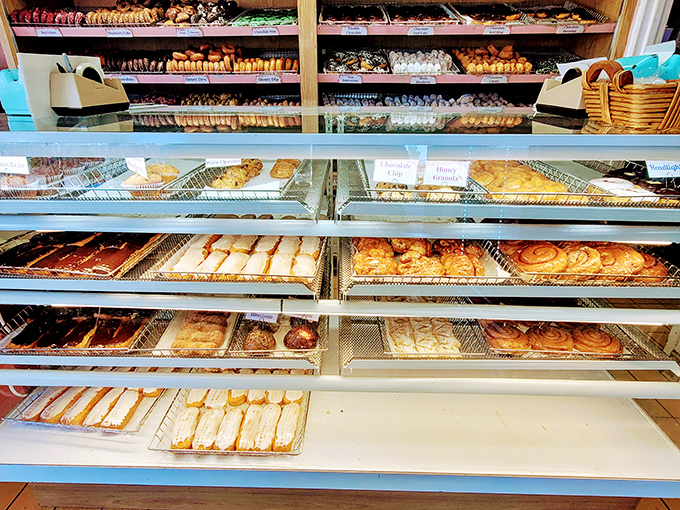 The display case—a museum of edible art where each shelf tells a different sweet story. I'd like tickets to all the exhibits, please.