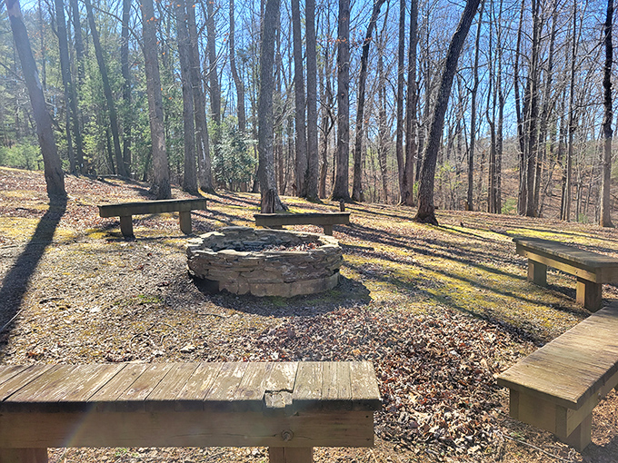 Stone fire pit surrounded by benches: where s'mores are made, ghost stories are shared, and screen time becomes a distant memory.