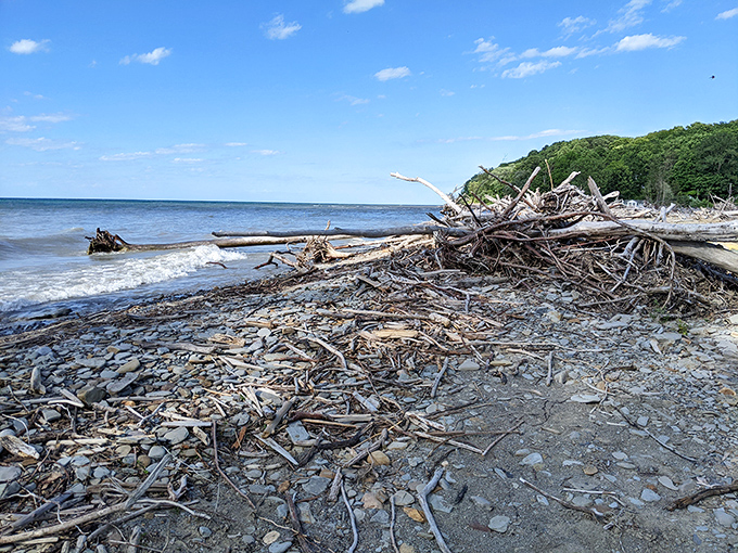 Beach treasure hunting ground zero. One person's storm debris is another's natural art installation.