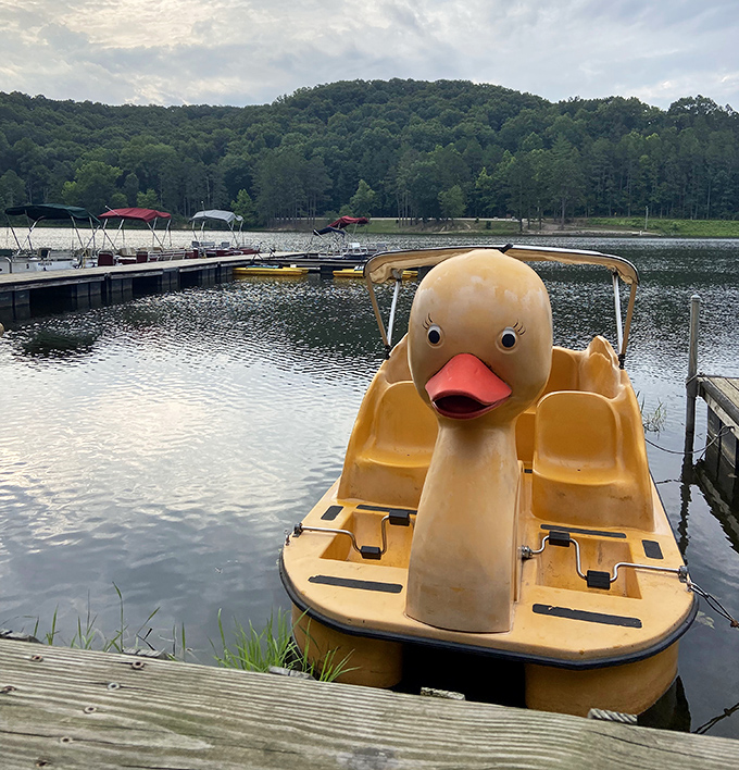 Nothing says "I'm on vacation" quite like pedaling across a lake in a giant duck boat. Dignity optional, memories guaranteed.
