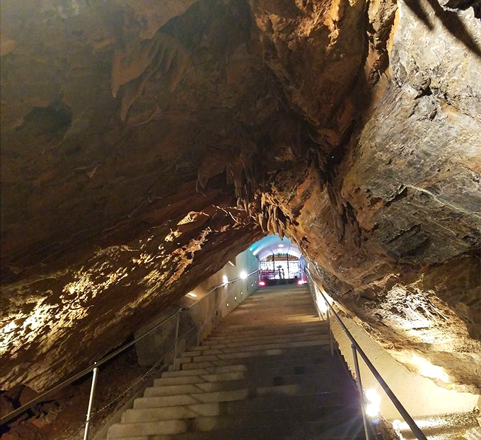 Descending into the unknown. Each step takes you deeper into a world where time is measured in millennia, not minutes.