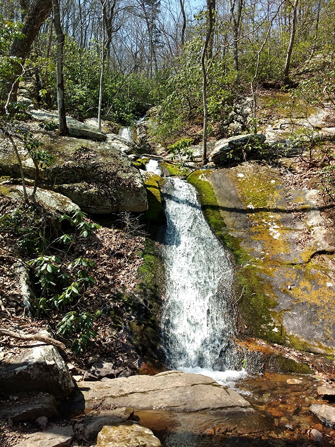 Blue Suck Falls doesn't win any awards for its name, but its cascading beauty speaks for itself. Worth every step of the hike.