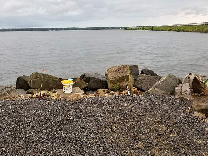 Serious anglers know the best spots require a bucket, patience, and the willingness to tell slightly exaggerated stories later.