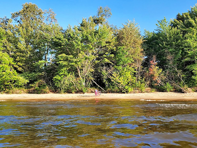 Where forest meets freshwater &ndash; Brimley's tree-lined shores offer cool shade just steps from Superior's refreshing embrace.