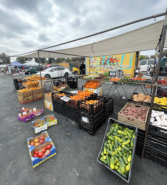 Produce paradise! This cornucopia of fresh fruits and vegetables puts supermarket offerings to shame, with prices that'll make your wallet as happy as your taste buds.