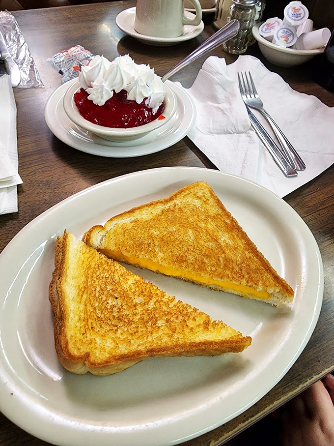 The platonic ideal of a grilled cheese sandwich: perfectly golden, properly melty, and ready to solve whatever problems you're facing.