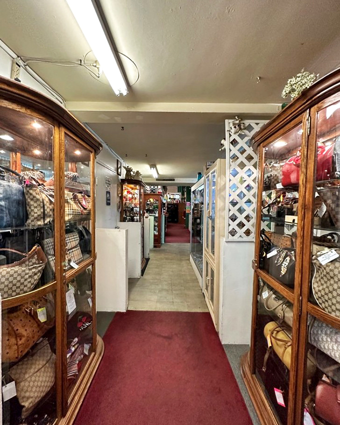 Designer handbags with history line this corridor of luxury. These aren't just accessories&mdash;they're artifacts from fashionable pasts waiting for new adventures.