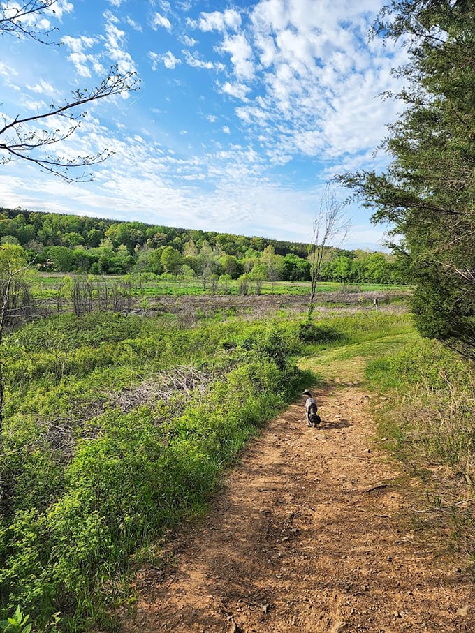 A trail that promises adventure with every bend &ndash; plus a four-legged tour guide who's working for treats and belly rubs.