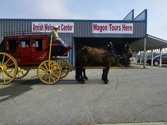 Red wagon tours roll through countryside where Instagram filters can't improve on natural perfection.