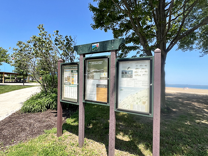 These information boards tell the story of Lake Erie's ecosystem, though no placard could fully capture the magic of experiencing this shoreline firsthand.