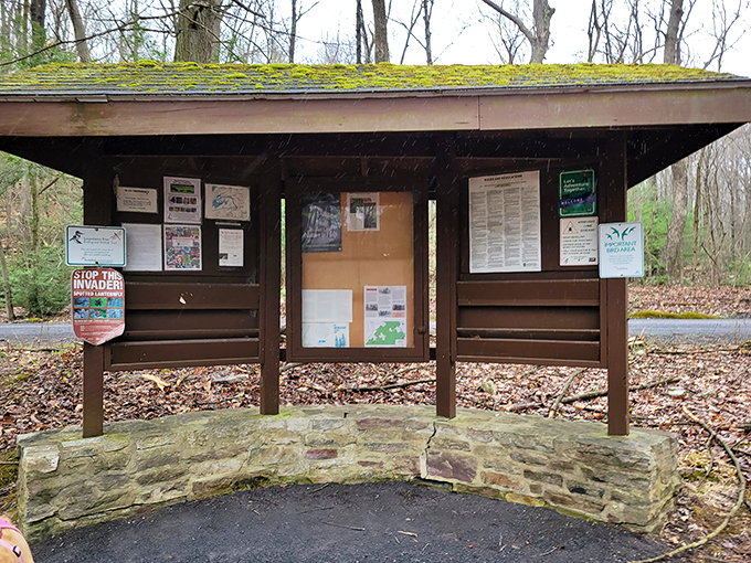 The park's information board&mdash;where cell service goes to die and actual paper maps still reign supreme. Old-school communication at its finest.