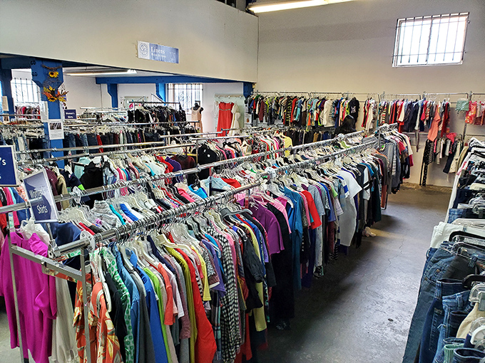 More clothing than some department stores, meticulously organized for the serious bargain hunter.