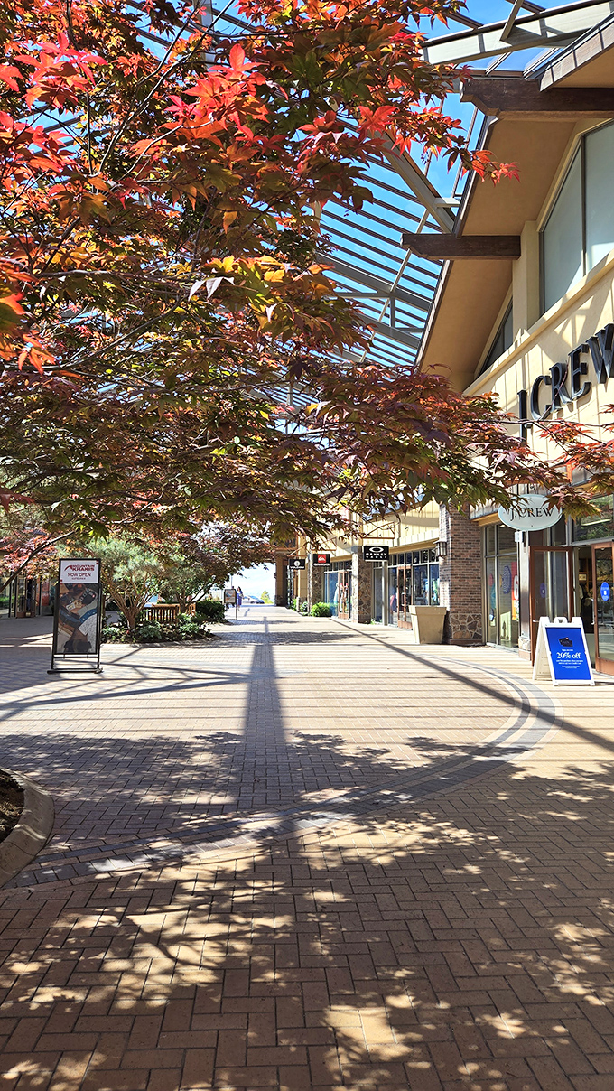 Dappled sunlight filters through Japanese maple trees, creating a shopping environment that feels more like a resort than a mall. 